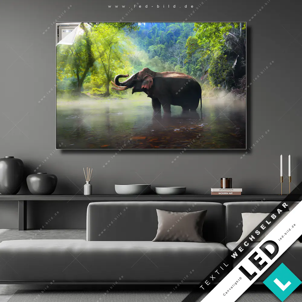 Canvalight® TEX LED-Bild Elefant in tropischer Umgebung | Tierwelt ...