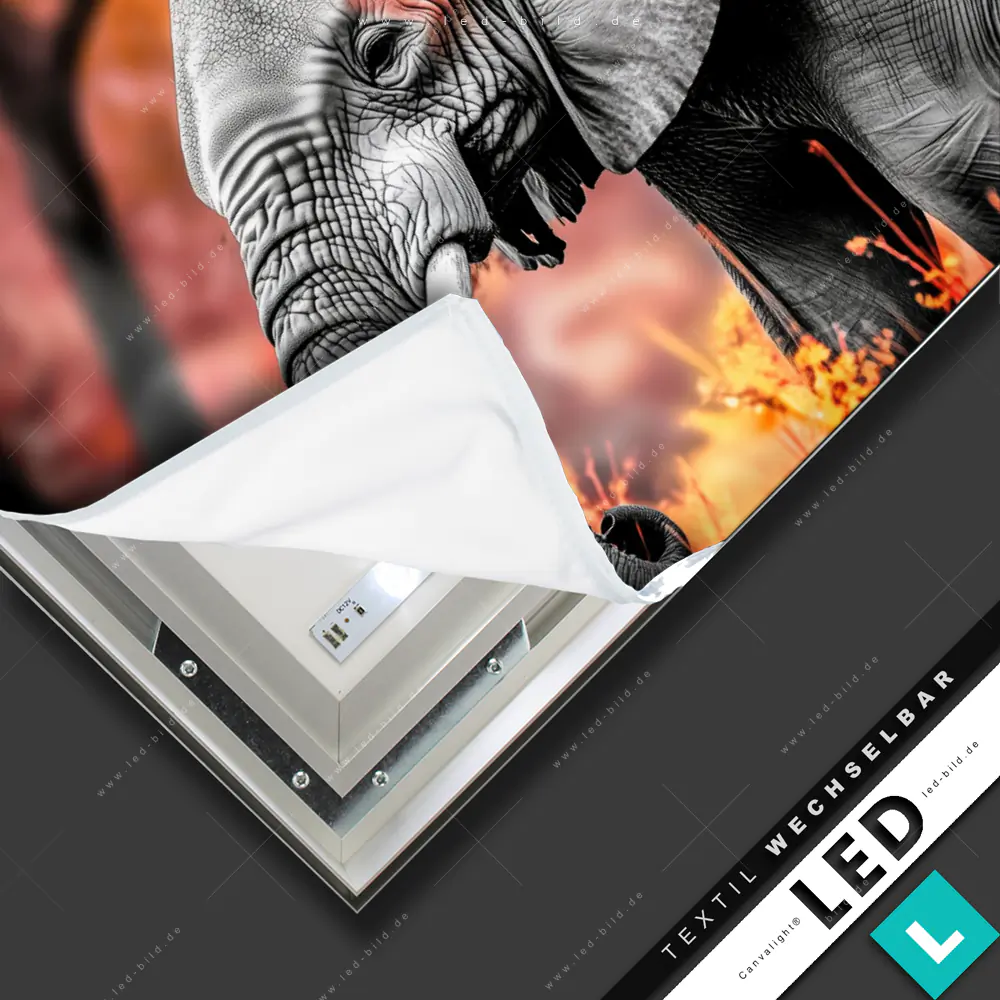 Canvalight® TEX LED-Bild Exotische Eleganz - Der Elefant | Tierwelt ...