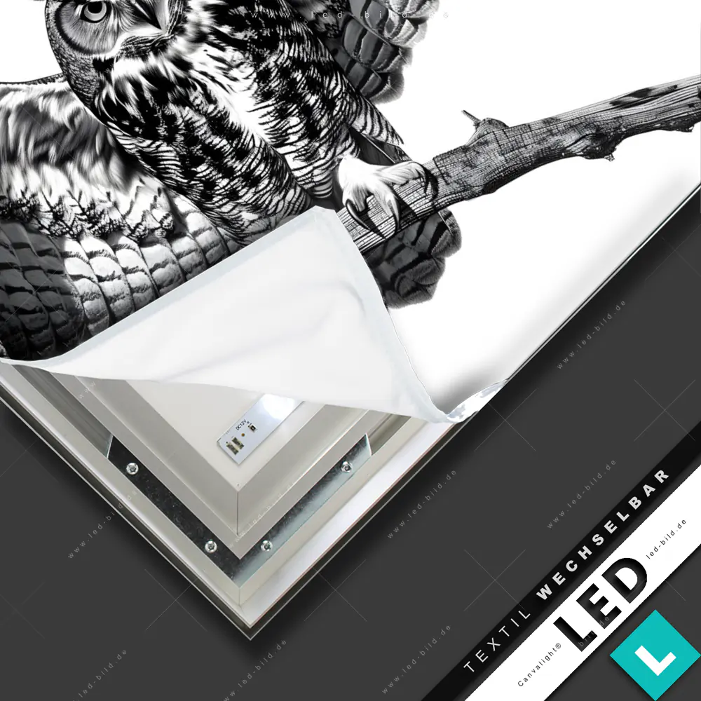 Canvalight® TEX LED-Bild Erhabener Nachtvogel | Tierwelt | Quadrat ...