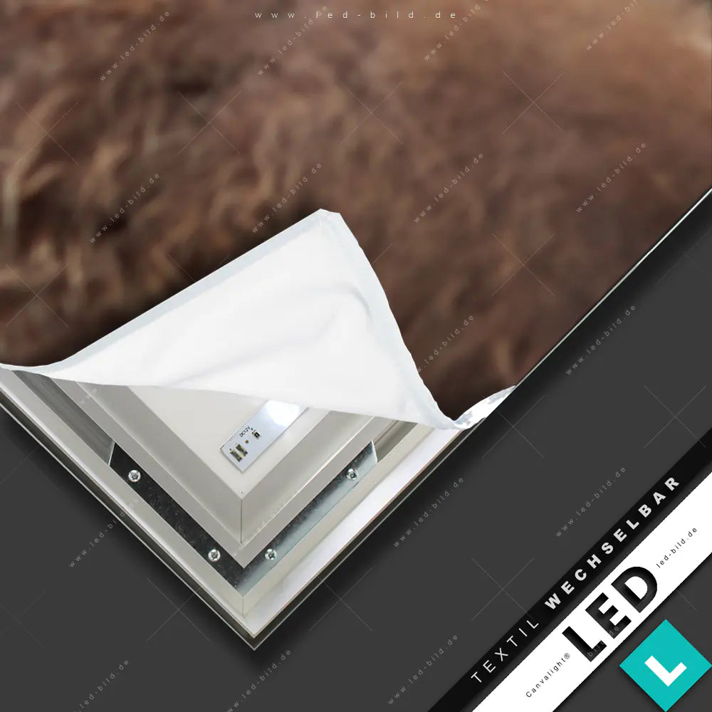 Canvalight® TEX LED-Bild Baby Pinguine | Tierwelt | Schmal – LED-Bild.de