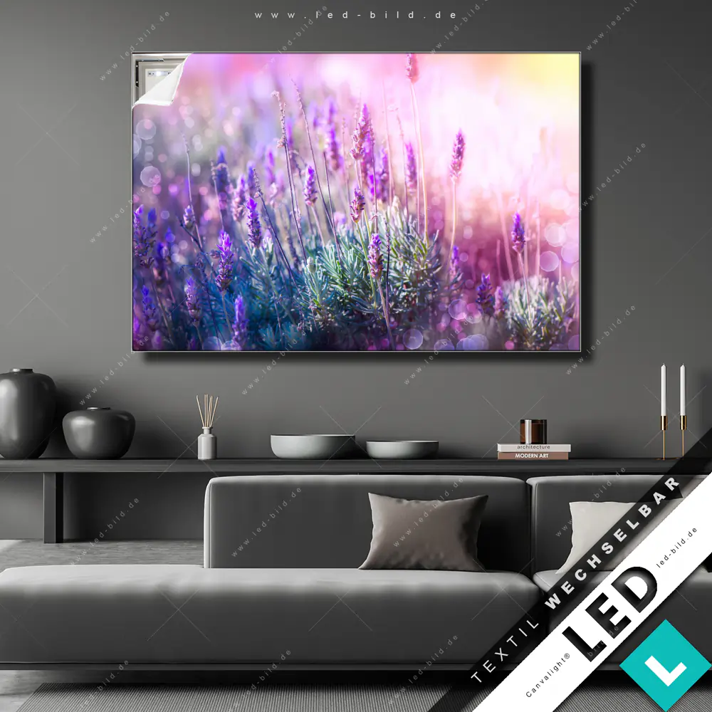 Canvalight® TEX LED-Bild Blühender Lavendel | Blumen - Botanik ...