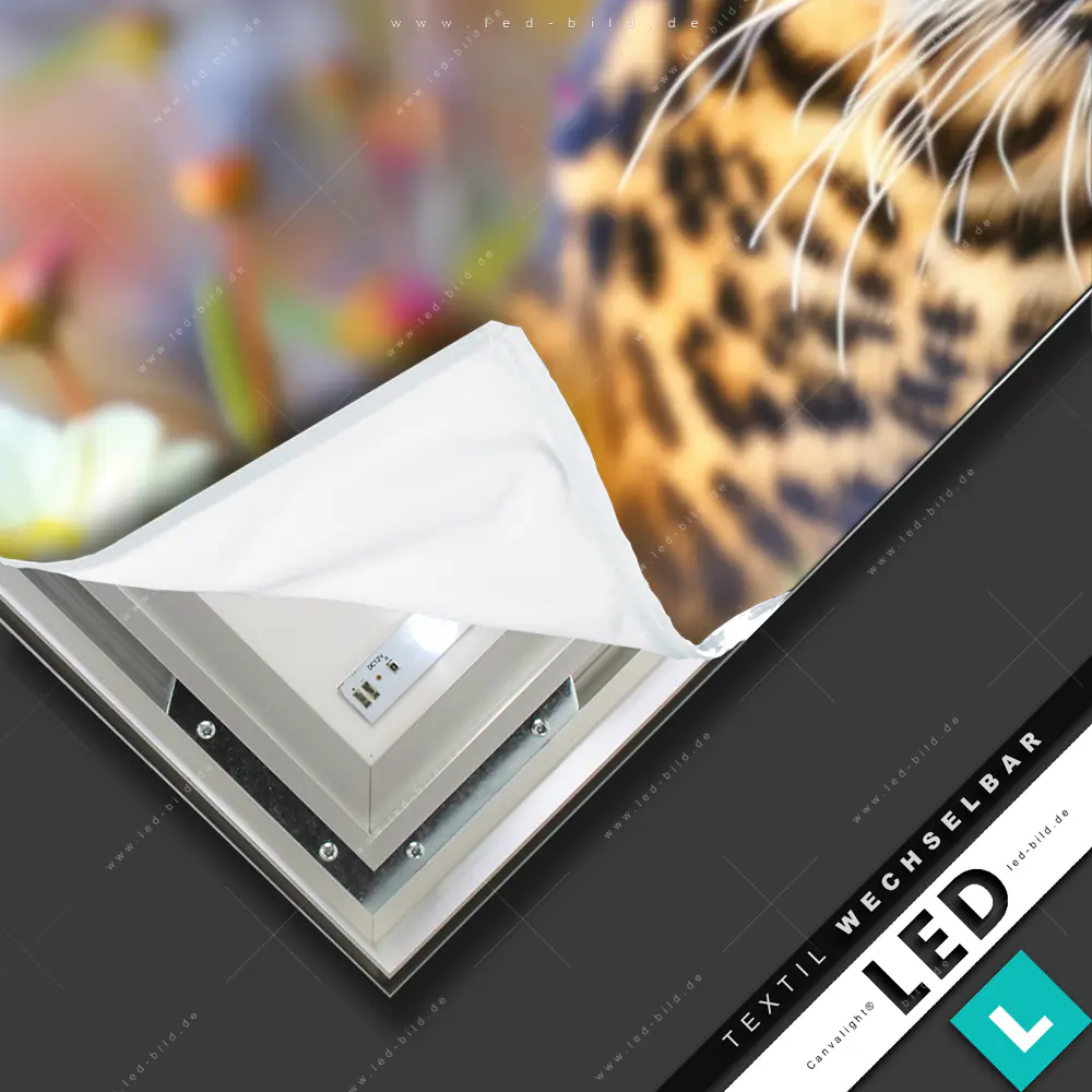 Canvalight® TEX LED-Bild Leopard - Wilde Eleganz | Tierwelt, Blumen ...