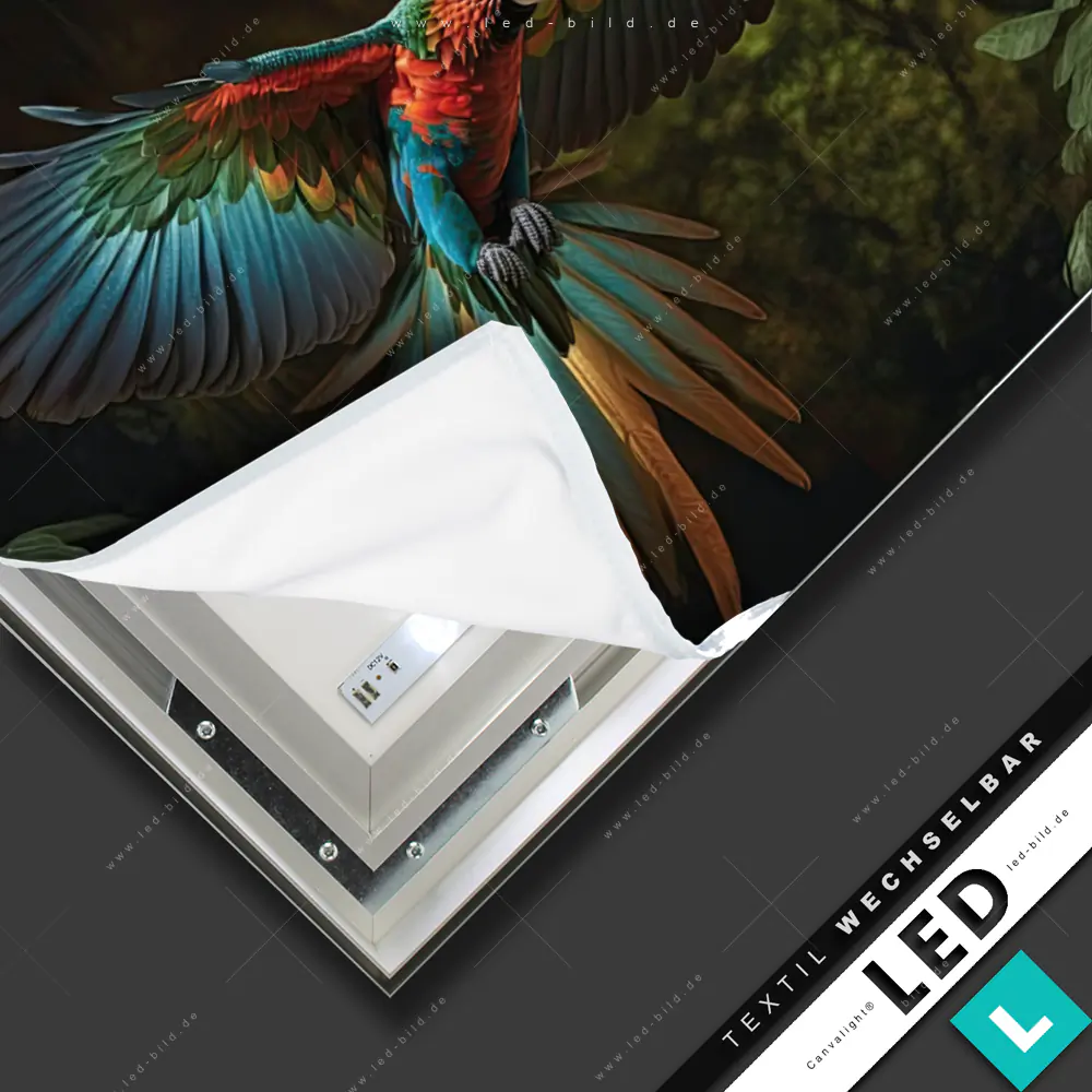 Canvalight® TEX LED-Bild Papageienflug im Urwald | Tierwelt ...