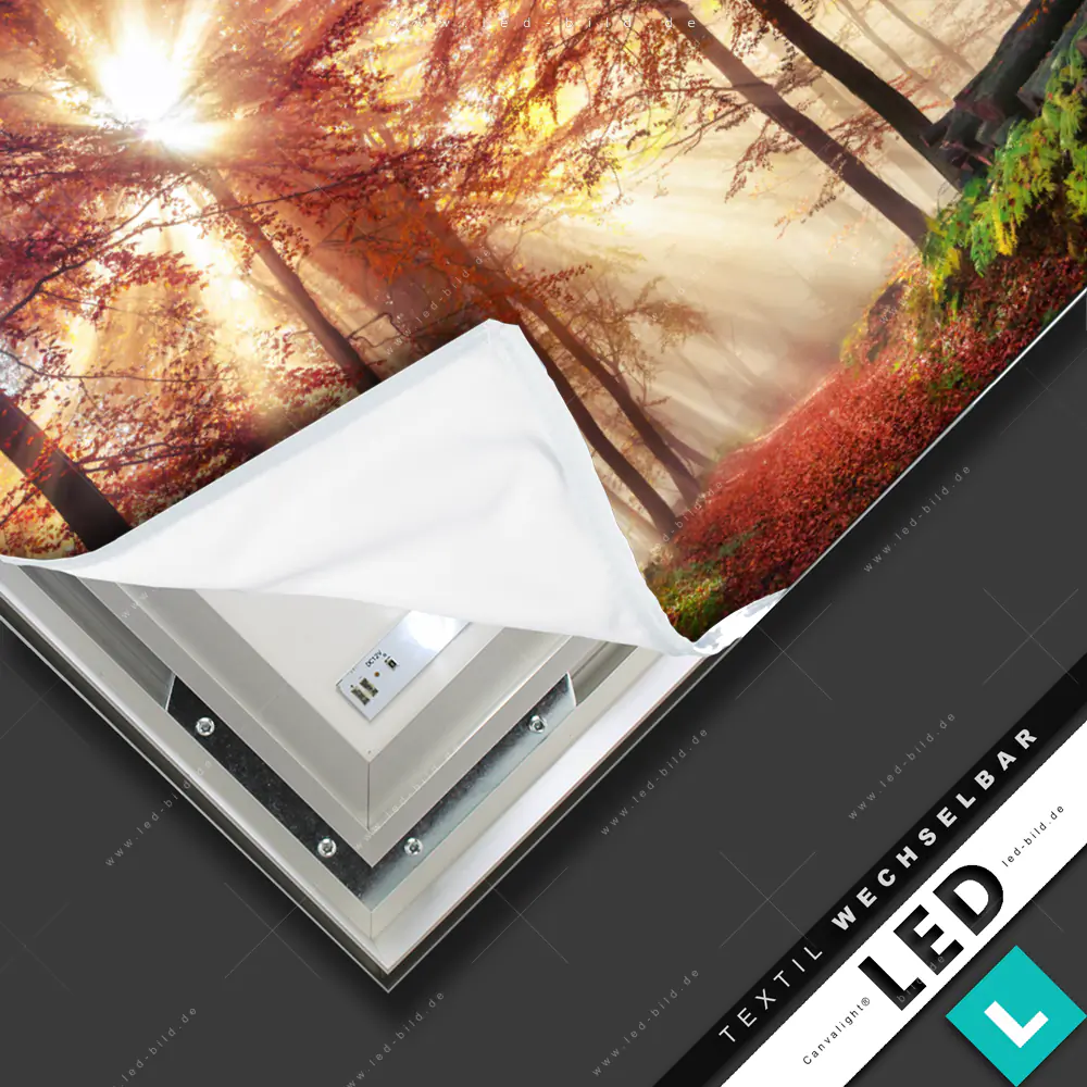 Canvalight® TEX LED-Bild Sonnenstrahlen umhüllen Herbstwald ...