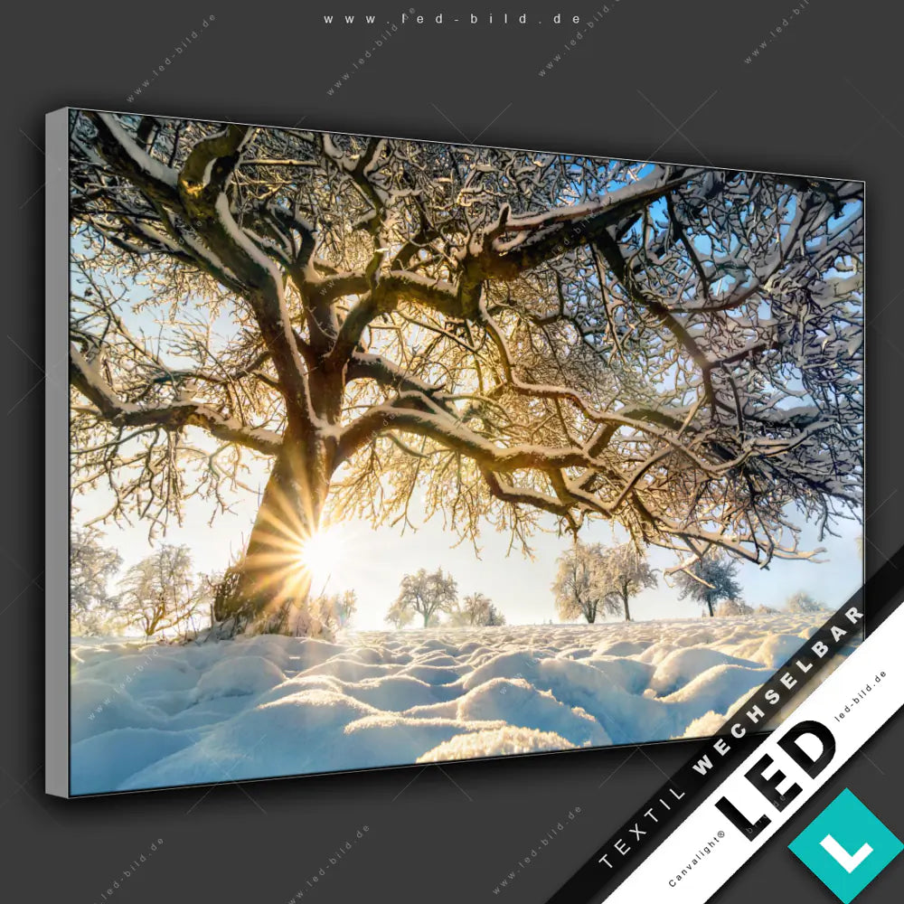 Canvalight® LED-Bilder 💙 Verzauberte Winterlandschaft 💙 Landschaften ...