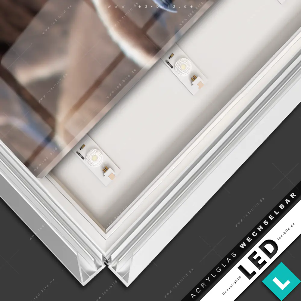 LED Glasbild Canvalight® DIA Baby Pinguine | Tierwelt | Schmal – LED ...