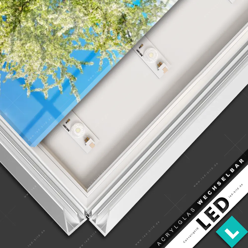 LED Glasbild Canvalight® DIA Ländliche Idylle | Wald - Bäume ...