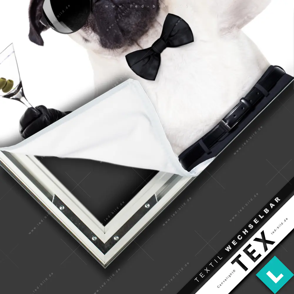 Textilrahmen-Bild Canvalight® TEX Party-Hund mit Sonnenbrille ...