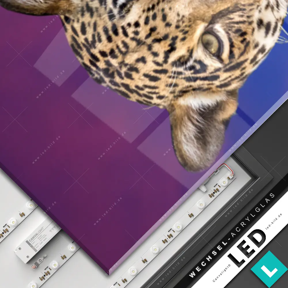 LED-Wechsel-Bild Canvalight® DIA Jaguar auf einem Stein | Tierwelt ...