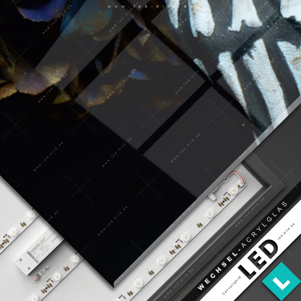 LED-Wechsel-Bild Canvalight® DIA Frau mit Totenkopf und Knochen ...