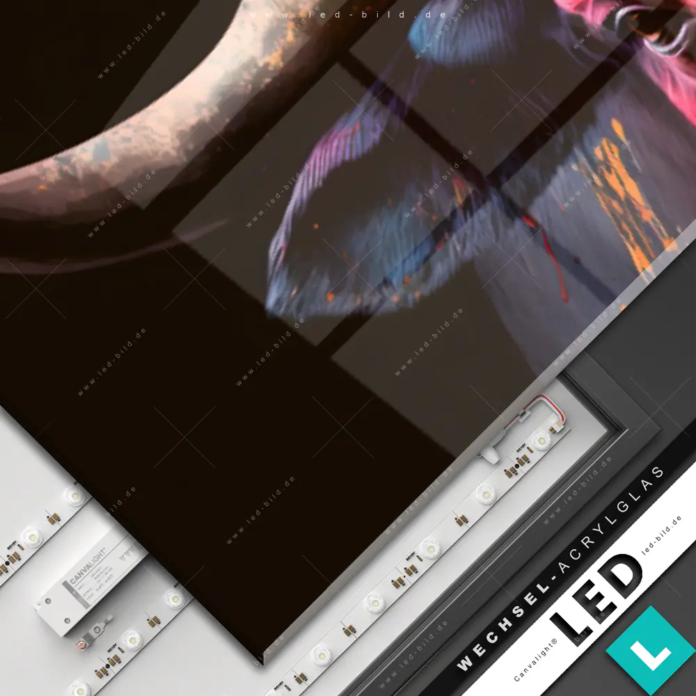 LED-Wechsel-Bild Canvalight® DIA Stierkopf mit Spritzern von Farbe ...