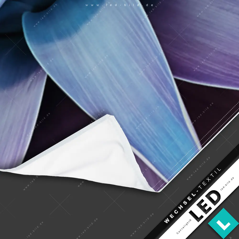 Wechsel-Textil 💚 Blätter in Lila und Pink | LED-Bild Canvalight® TEX ...