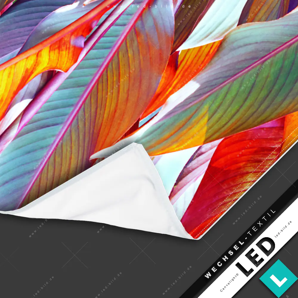Wechsel-Textil 💚 farbenfrohe Blätter | LED-Bild Canvalight® TEX ...