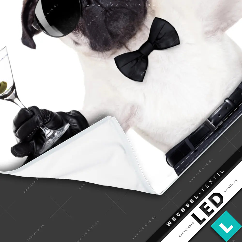 LED-Wechsel-Bild Canvalight® TEX Party-Hund mit Sonnenbrille | Tierwelt ...