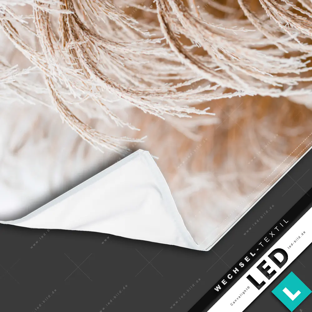 Wechsel-Textil 💚 natürliche Gräser in beige | LED-Bild Canvalight® TEX ...